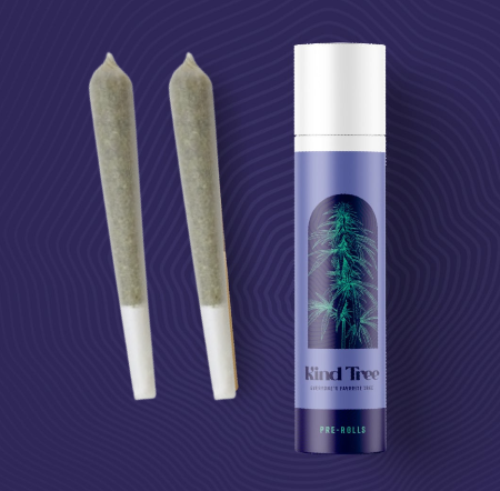 KIND TREE - KT WHITE IVERSON 2PK