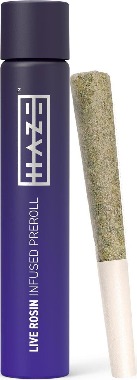 HAZE - Bolo Runtz X Temptation F3 (infused)
