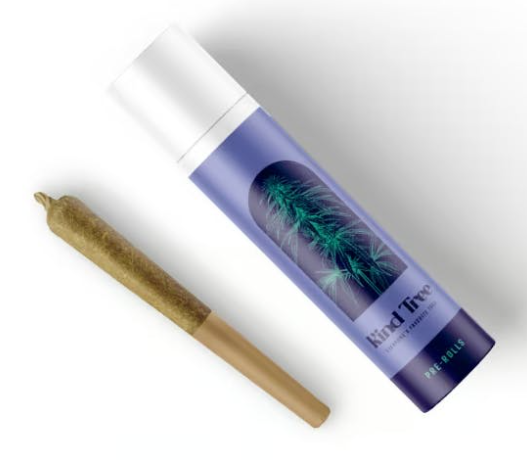 KIND TREE - Shady Lady (infused) 2PK