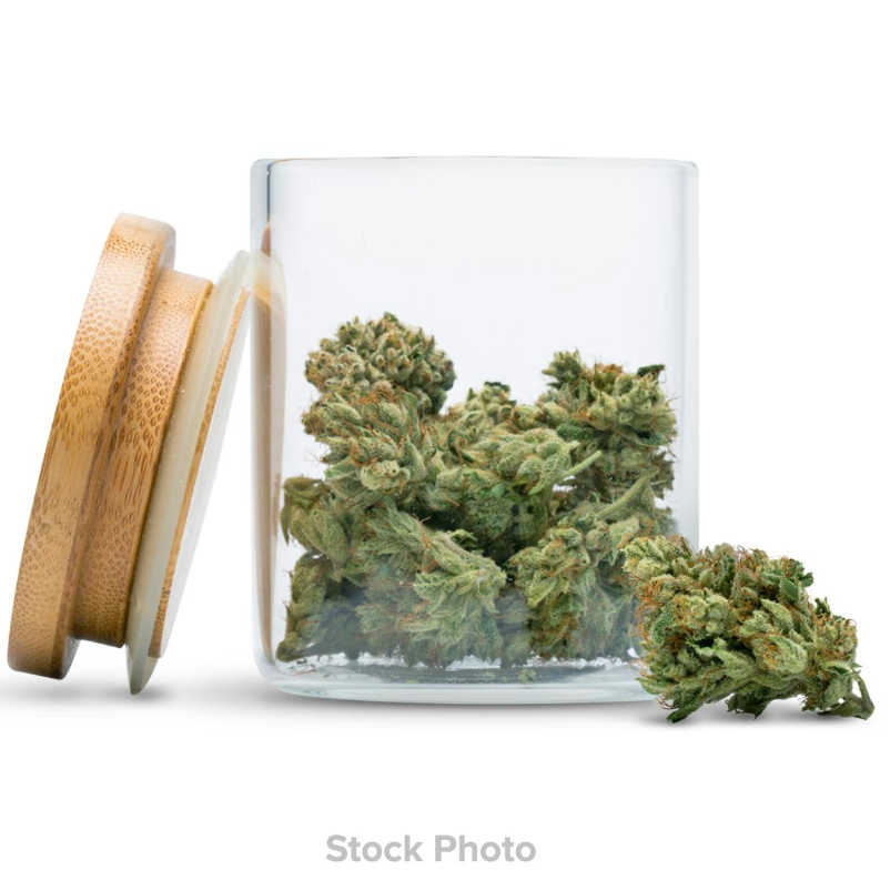 CITIES - Pink Zest (h) 3.5G