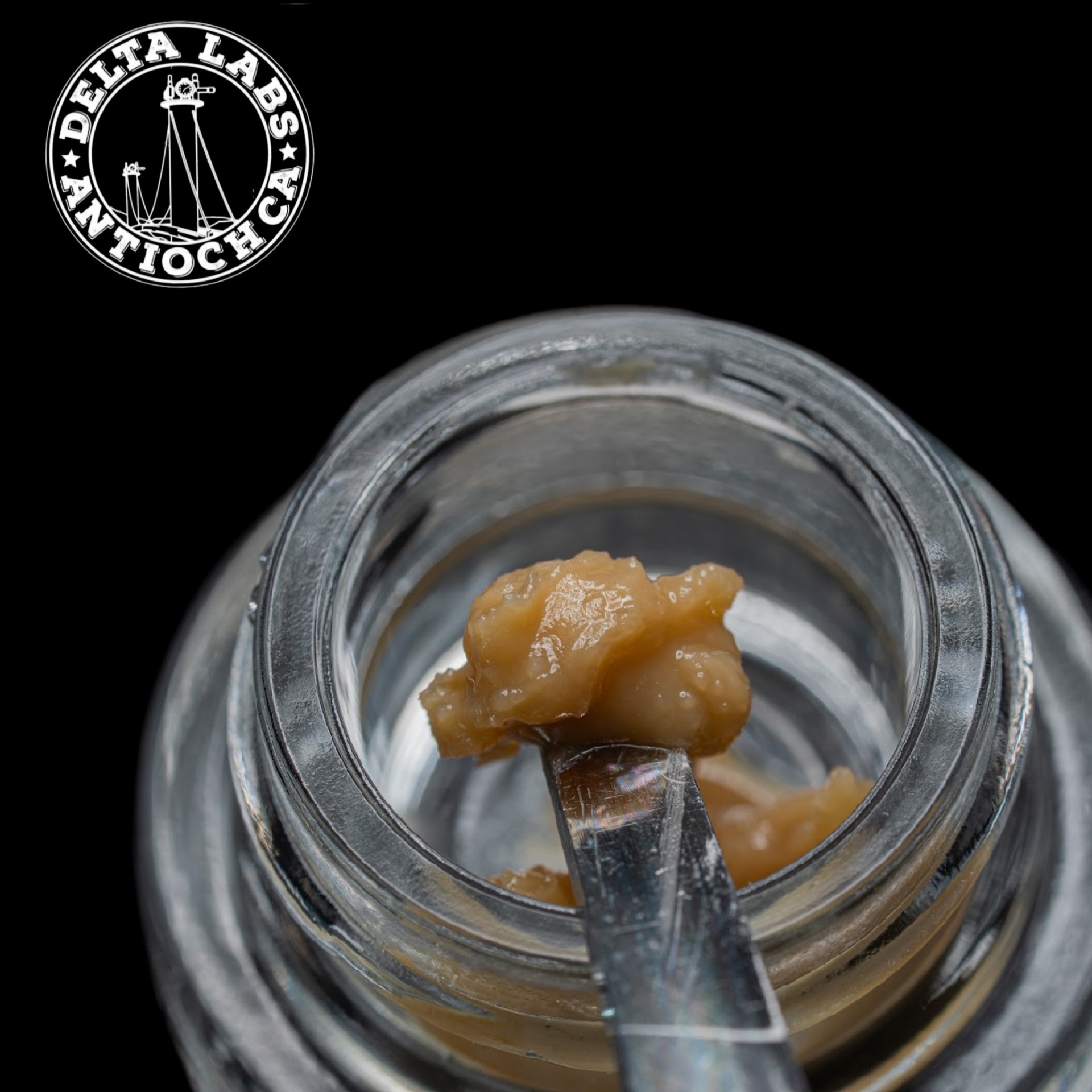 DELTA LABS - Government Oasis (i) Live Rosin 1G