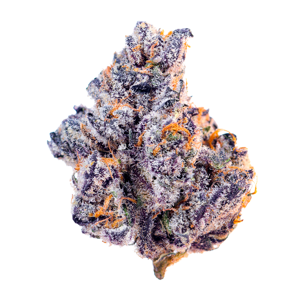 Shop PERMANENT RUNTZ in Los Angeles | CORNERSTONE