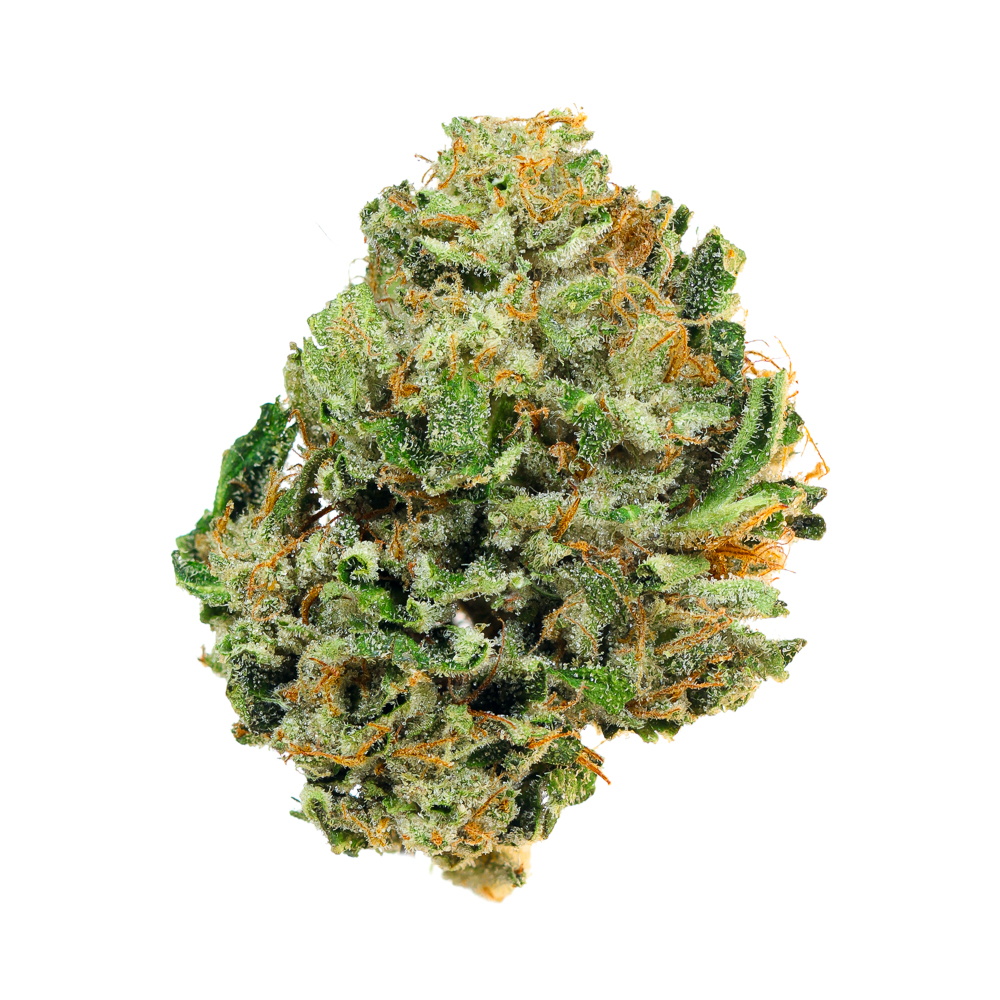 Shop PIE SCREAM in Los Angeles | CORNERSTONE