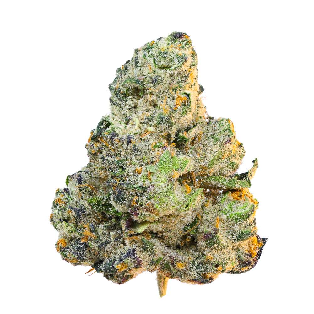 Shop MAMBA 24 MINIS in Los Angeles | CORNERSTONE