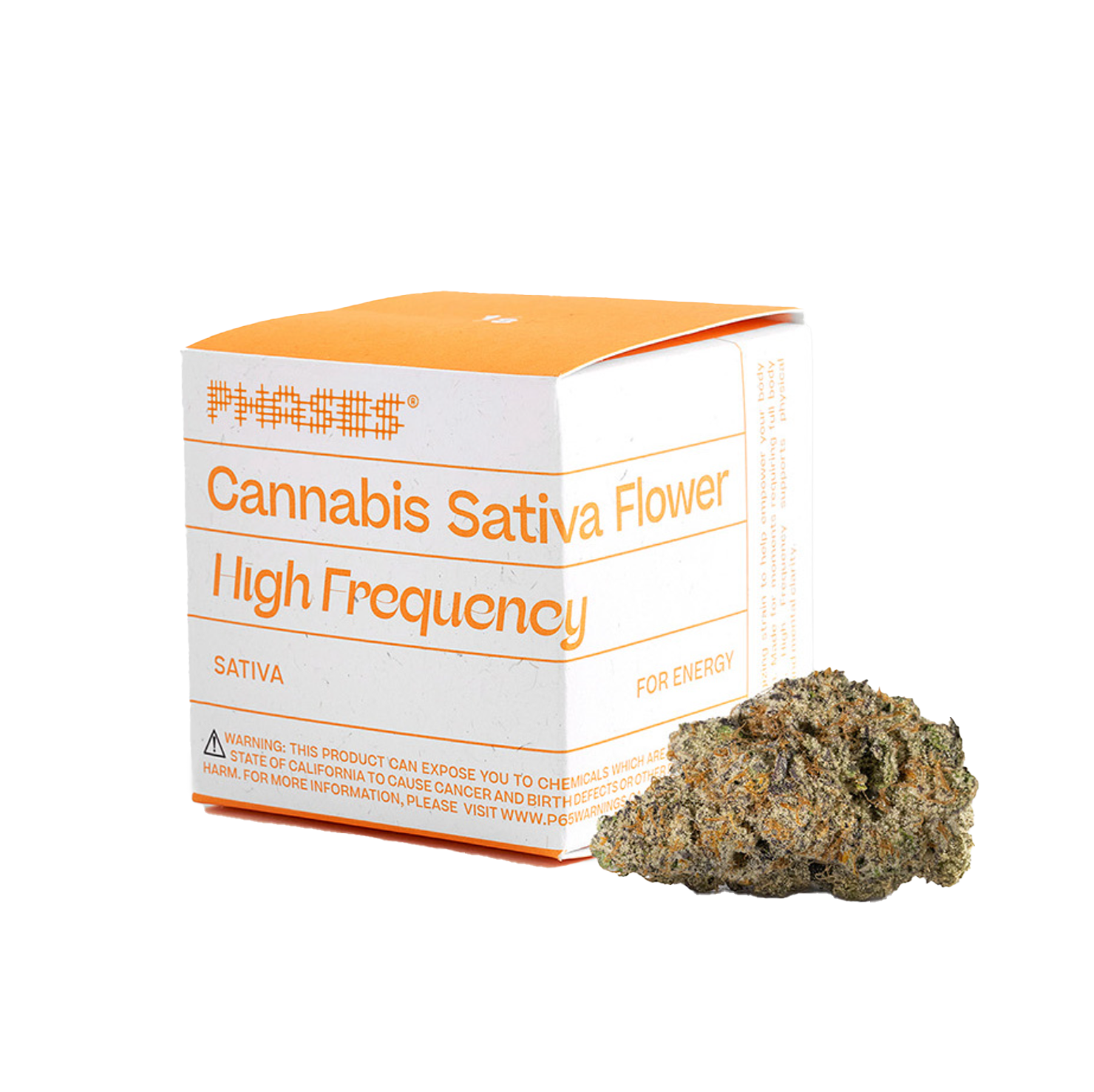 PHASES - Electric Colada