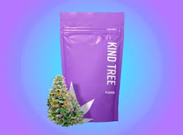 KIND TREE - AFGHANI 14G