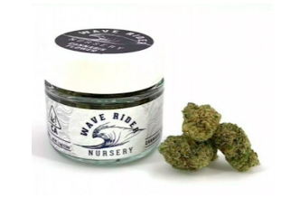 WAVE RIDER NURSERY - Fruit Punch – Premium Cannabis Product at Airfield ...