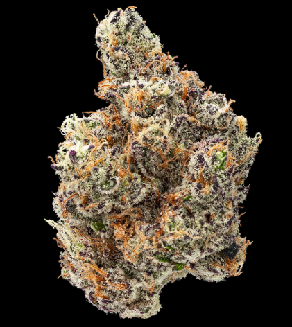 66 FARMS - Governmint Oasis - House - 3.5G