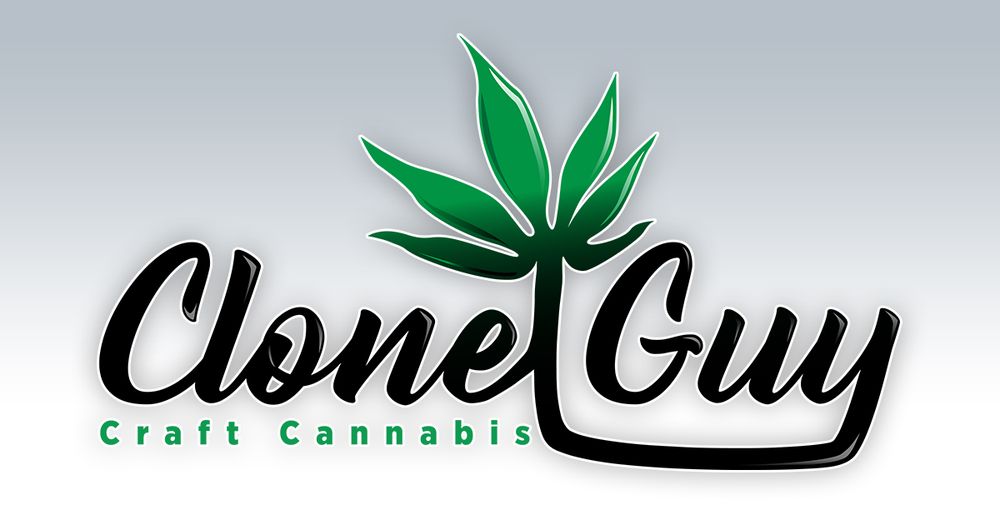 CLONE GUY - Clone Guy - Grape Fog Clone (2024)