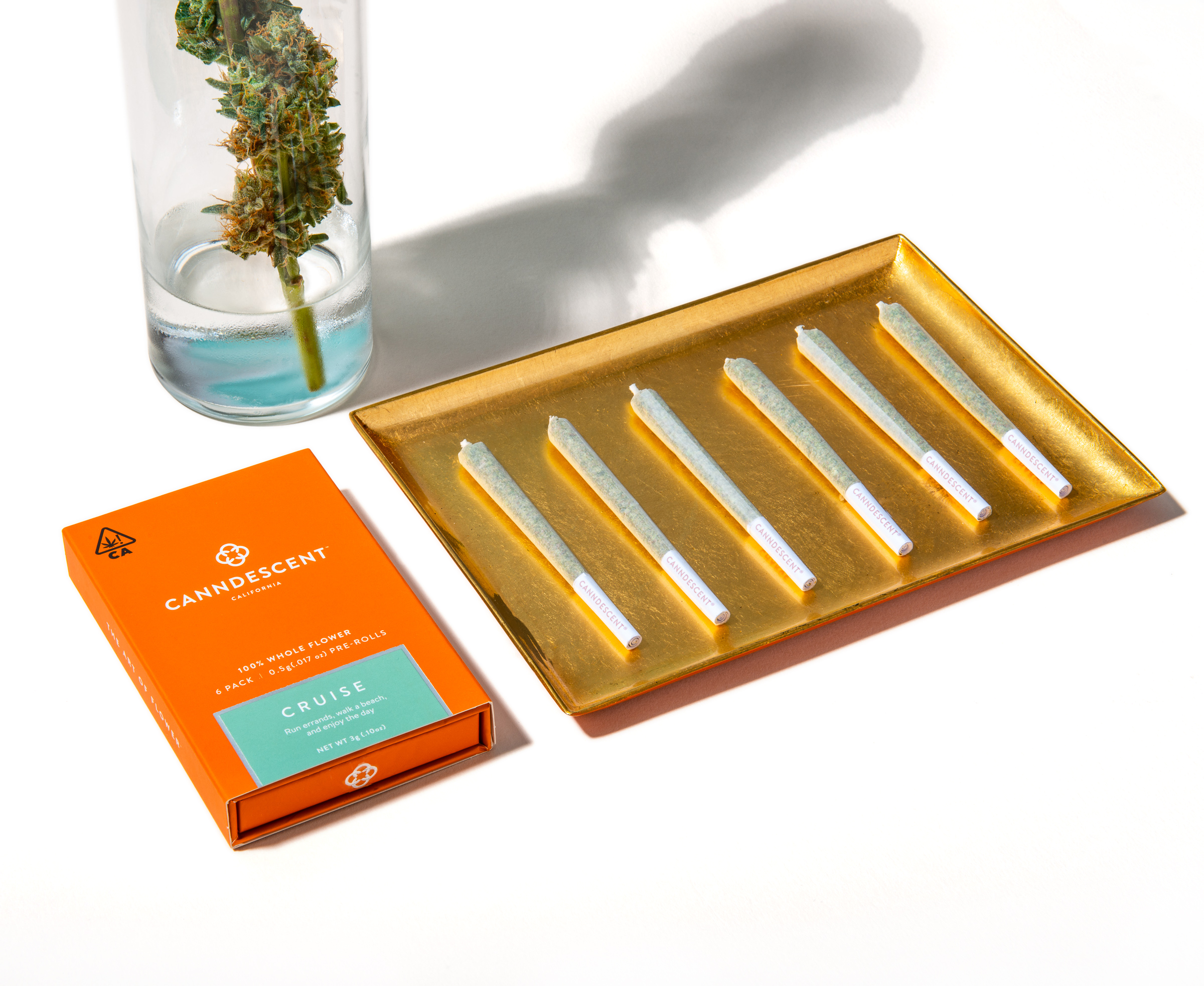 CANNDESCENT - 6 PACK CRUISE MINI PREROLLS BY CANNDESCENT