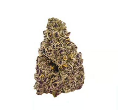 FLORA ARBOR - Flora - Hawaiian Rain X Permanent Marker (3.5g) (ih)