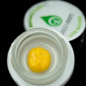 GREEN DOT LABS - GREEN DOT LABS - ICE CREAM CAKE - SILVER LABEL - LIVE ...