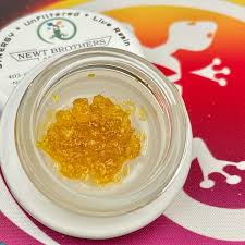 NEWT BROS - NEWT BROS - MADCAP - SUGAR WAX - 1G