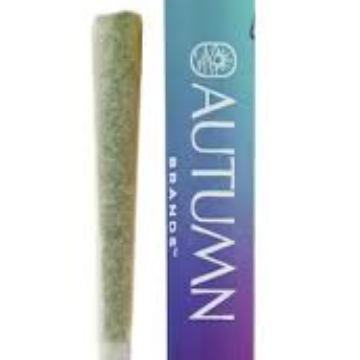 AUTUMN BRANDS - Autumn Brands | Very Demure | 1G Preroll