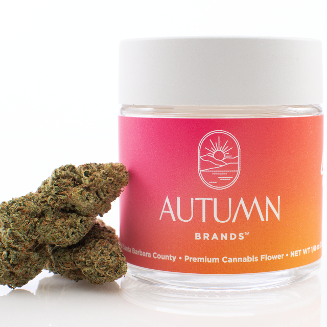 AUTUMN BRANDS - Autumn Brands | Mule Fuel | 3.5G Jar
