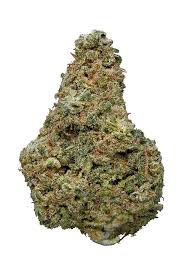 JOY RIDGE FARMS - Joy Ridge Farms | Durban Cookies | Sativa Dominant ...