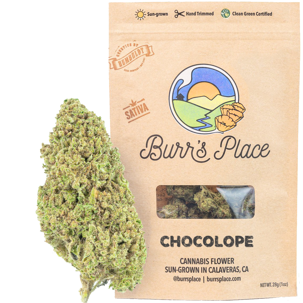 BURR'S PLACE - BURR'S PLACE | CHOCOLOPE | 14G SMALLS BAG