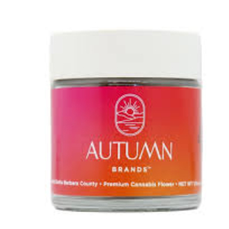AUTUMN BRANDS - Autumn Brands | Space Station | Hybrid | 3.5G Jar