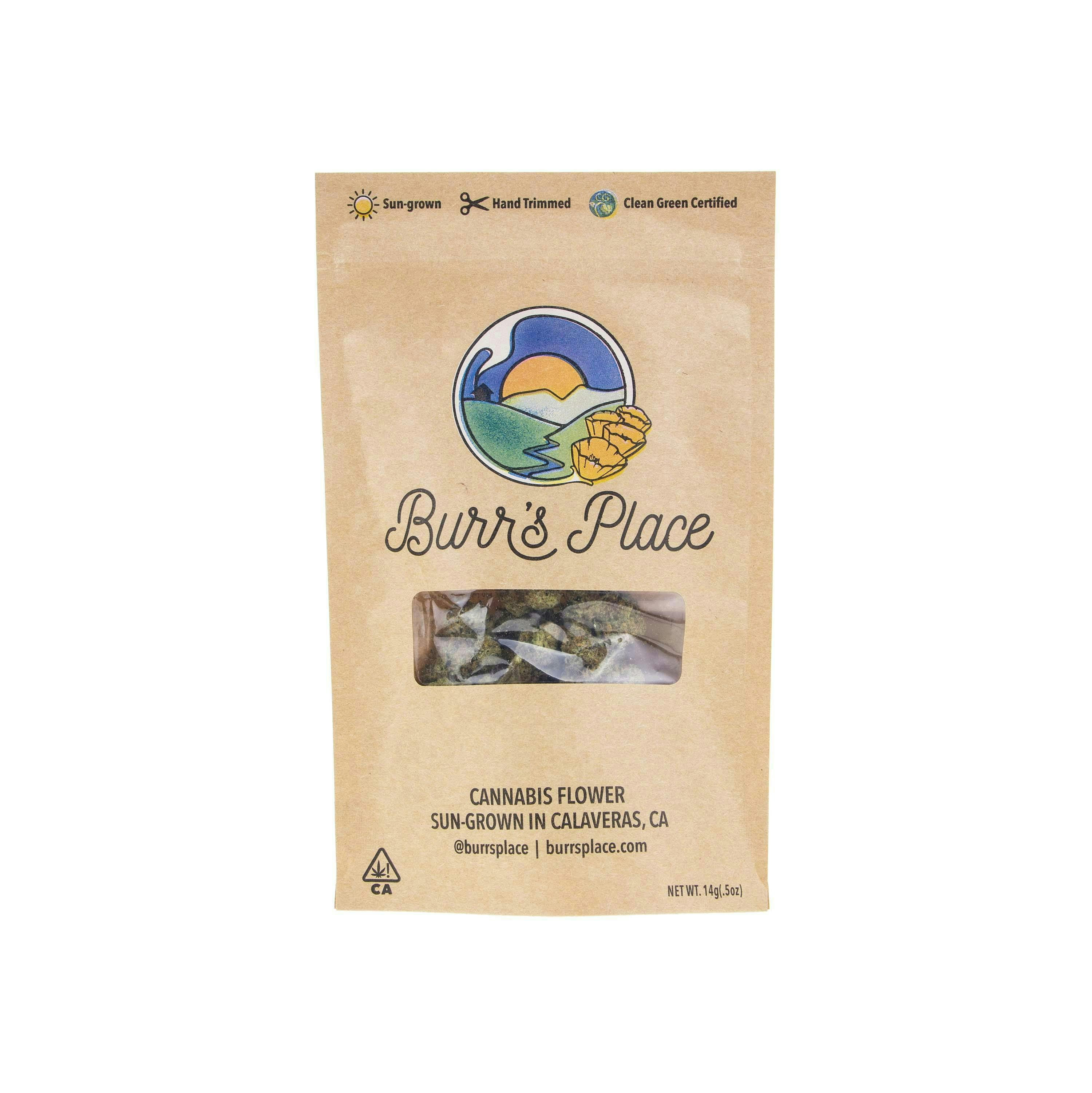 BURR'S PLACE - BURR'S PLACE | CAP CITY KUSH | 14G BAG