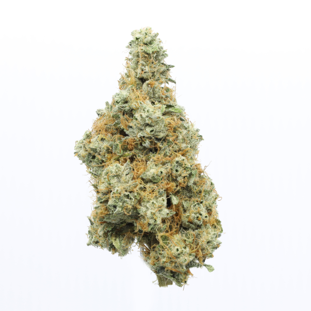 UPNORTH - Upnorth | Humboldt OG | 3.5G Jar