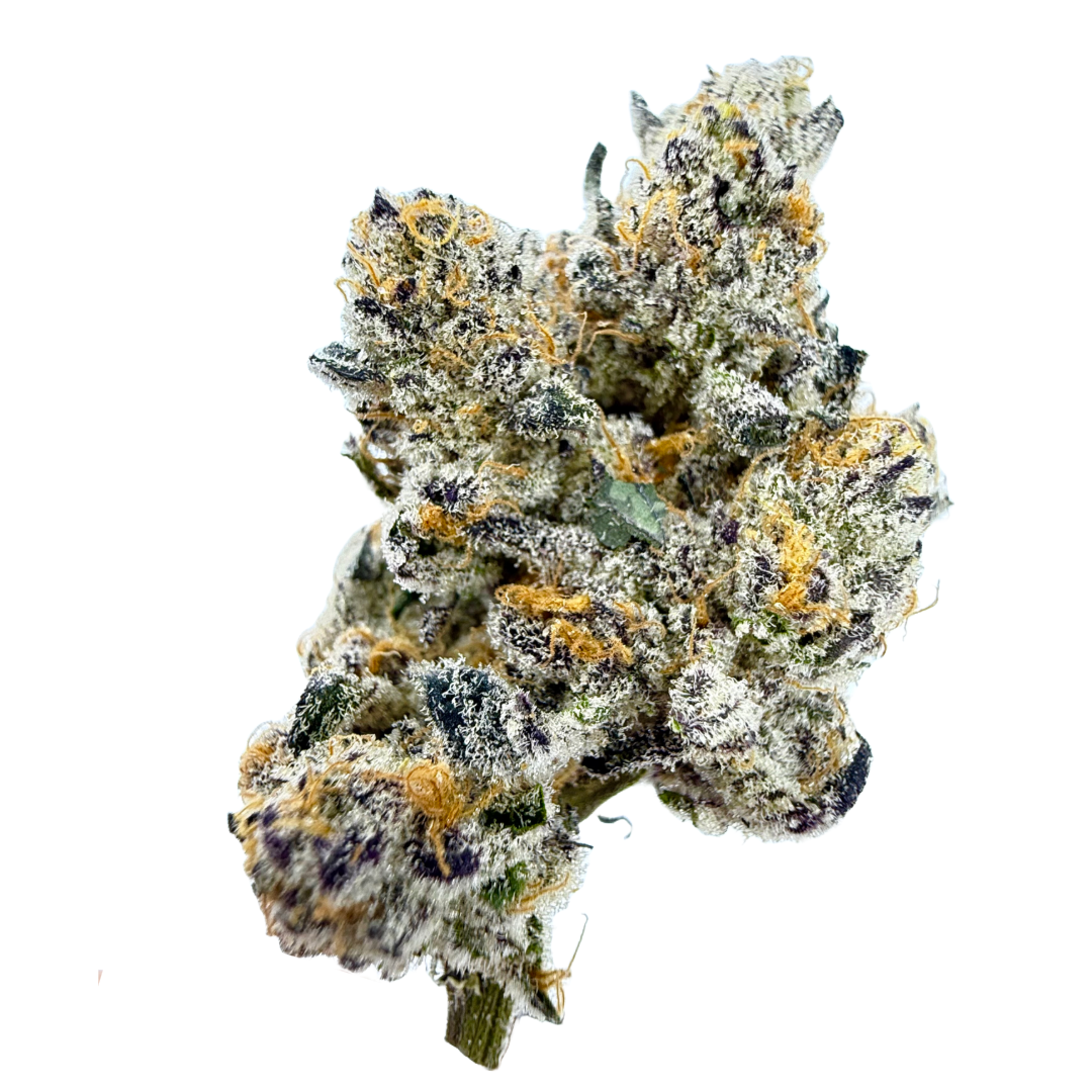 DECIBEL GARDENS - Decibel Gardens - C-note 3.5G