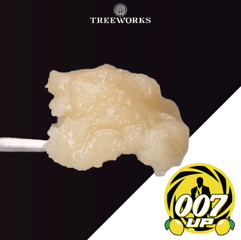 TREEWORKS - 007 Up | Live Rosin Jam 1G