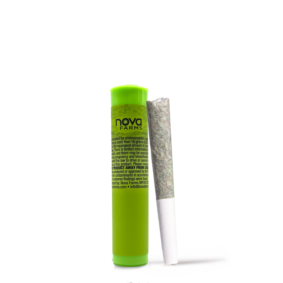 NOVA FARMS - Horchata | .5g Joint NOVA FARMS - Horchata | .5g Joint